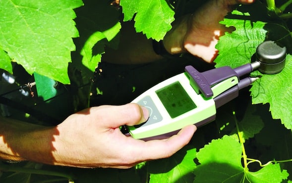 Vin : des outils plus modernes pour gérer les vignes