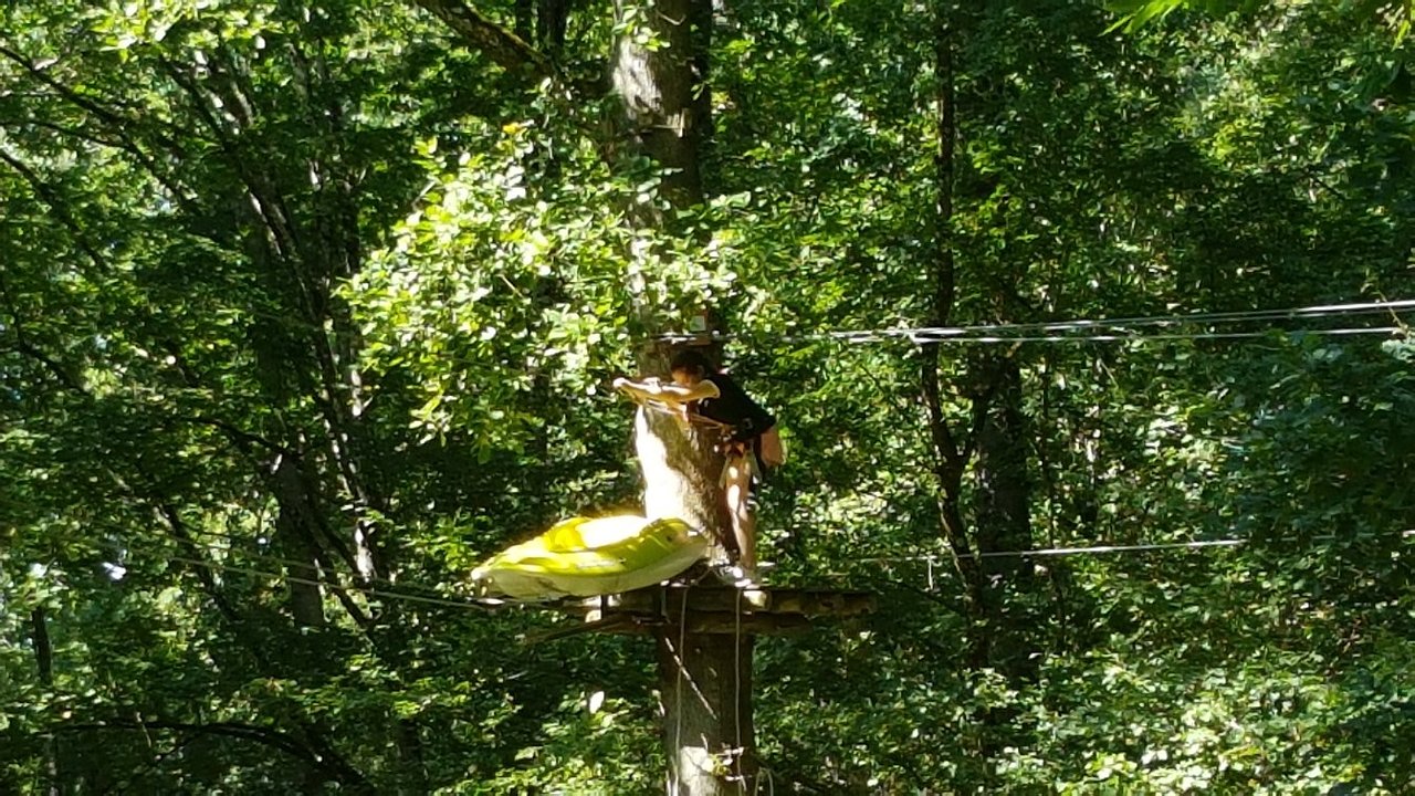 Happy Forest : à quoi est due la popularité du parc de loisirs